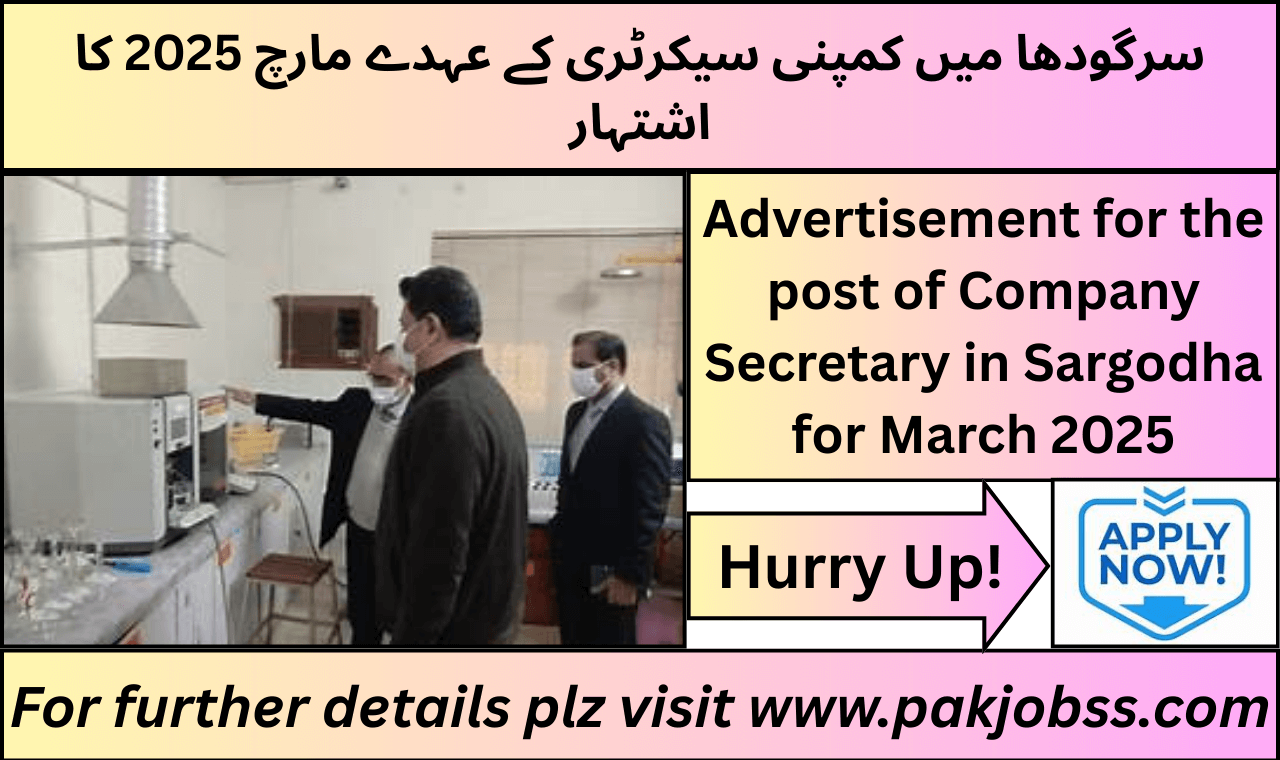 Company Secretary Jobs Sargodha March 2025